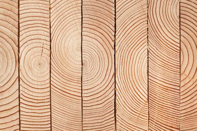 Other - Skana Forest Products